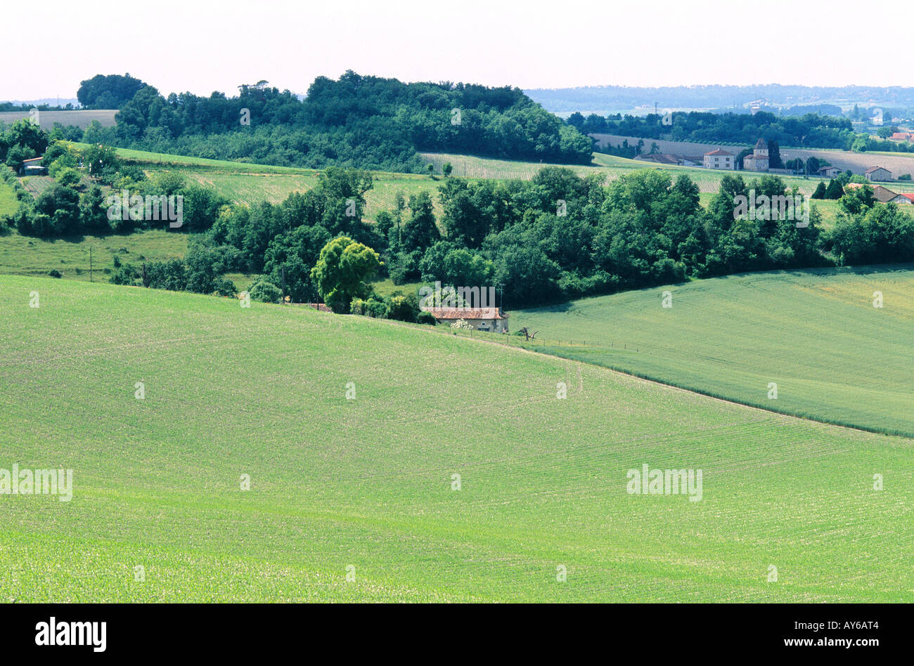 Cognac france grande champagne hi-res stock photography and images - Alamy