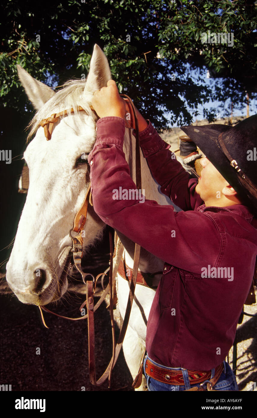 554 hi-res stock photography and images - Alamy