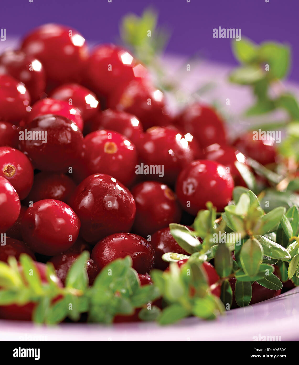 Cranberries in a bowl with stems Stock Photo - Alamy