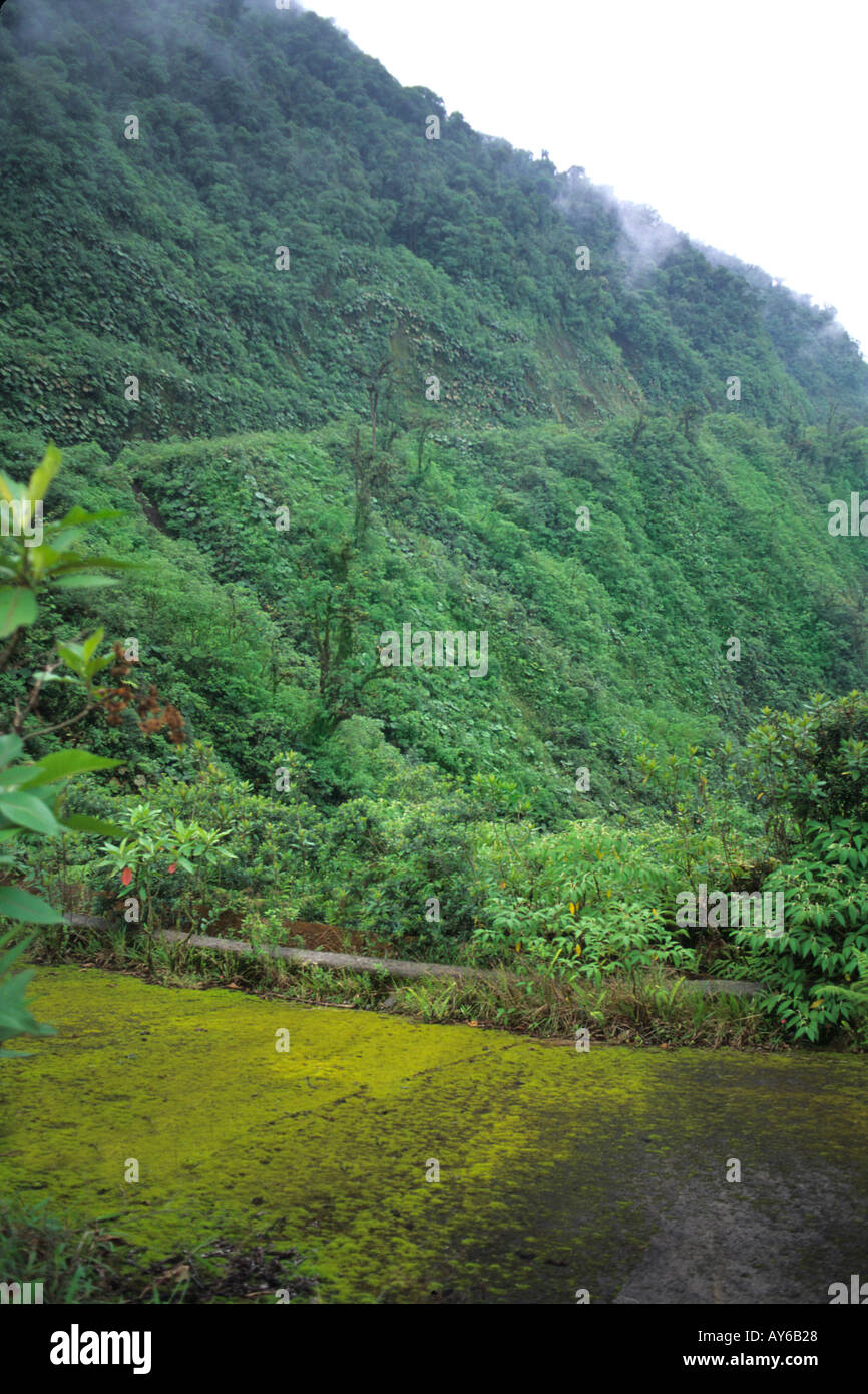 Braulio carrillo costa rica hi-res stock photography and images - Alamy