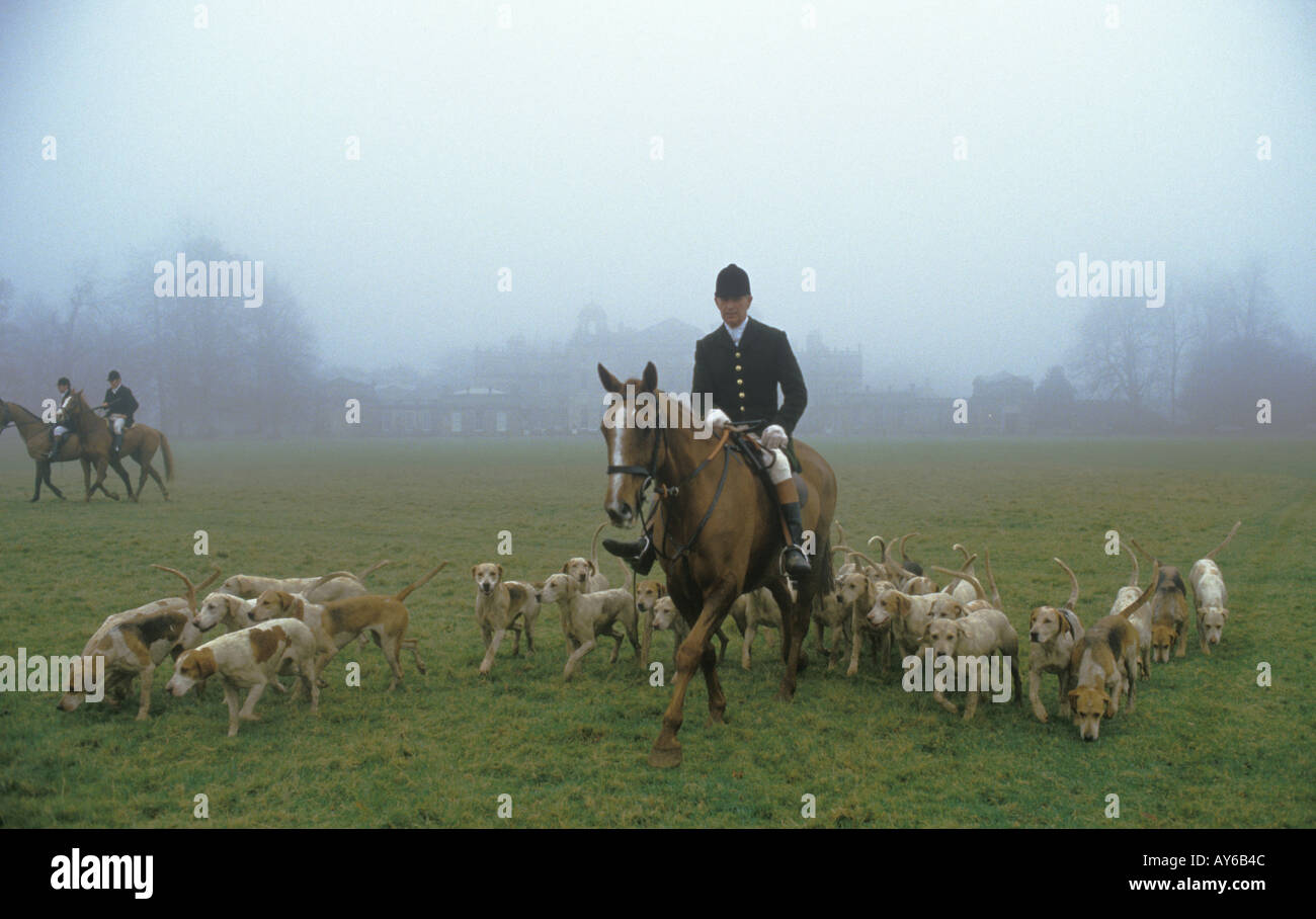 Fox hunting, the Duke of Beaufort hunt. Master of Foxhounds rides out ...