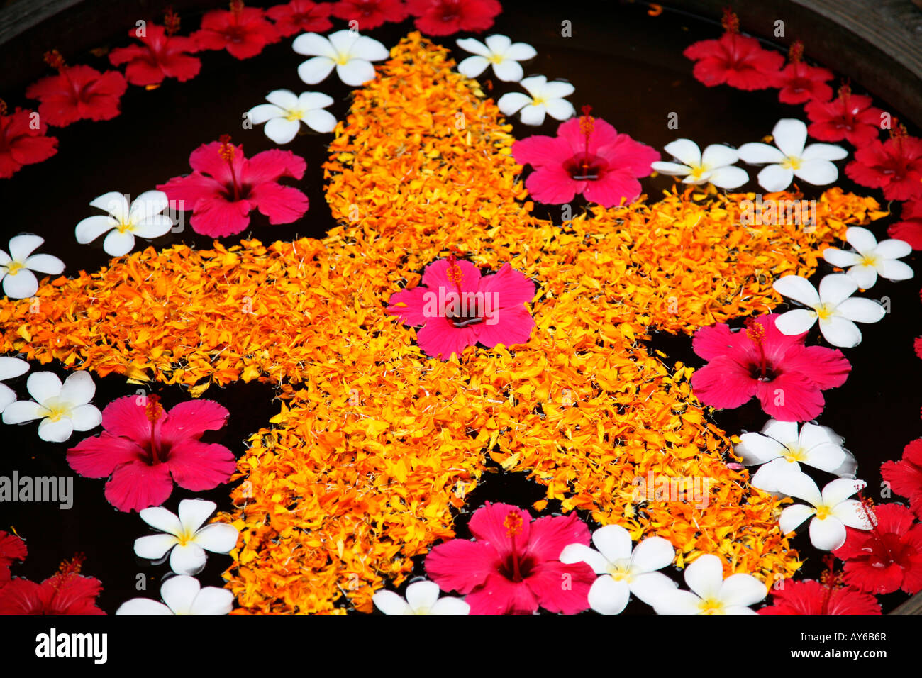 Floral design-flowers floating in water in a pot Stock Photo - Alamy