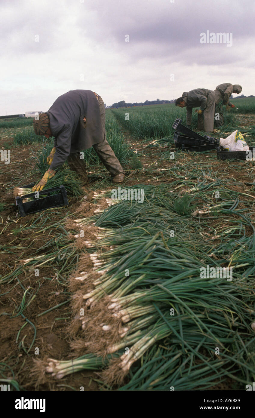 Farm labourer england hi-res stock photography and images - Alamy