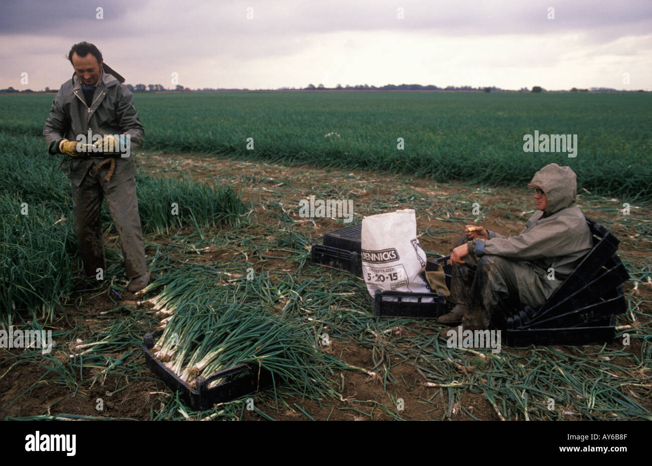East Anglia Farm High Resolution Stock Photography and Images - Alamy