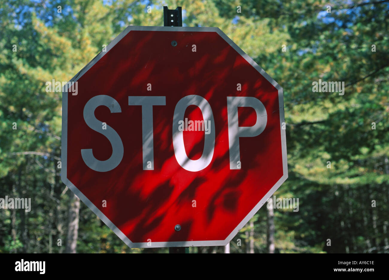 Stop sign USA Stock Photo - Alamy