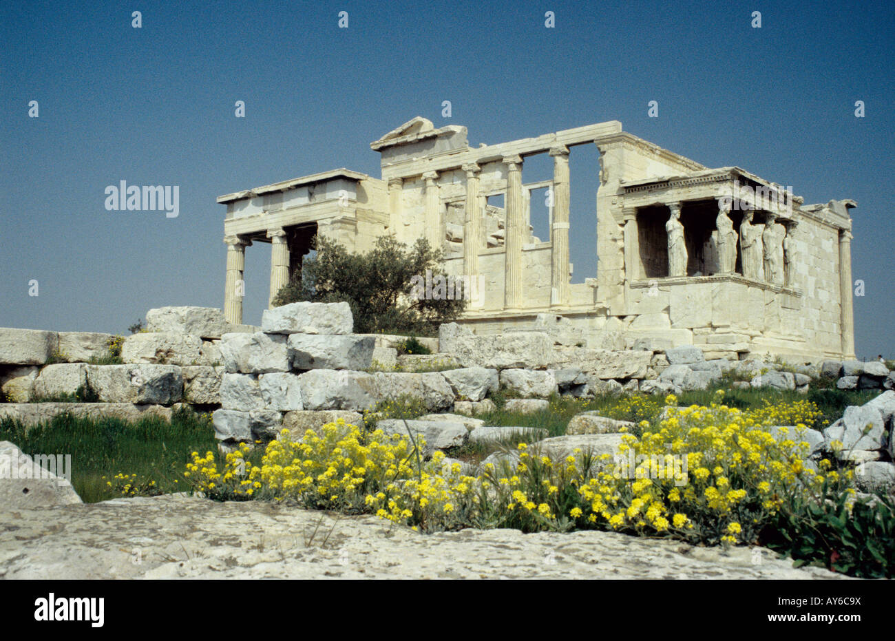 Acropolis in Spring, Athens, Greece Stock Photo - Alamy