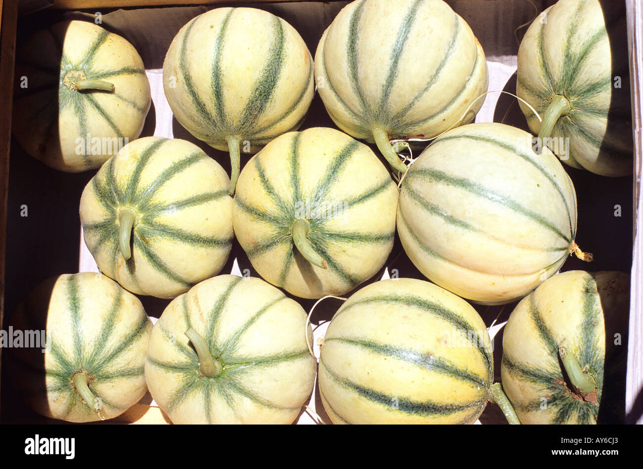 Vaucluse Haute Provence Melons de Cavaillon Stock Photo - Alamy