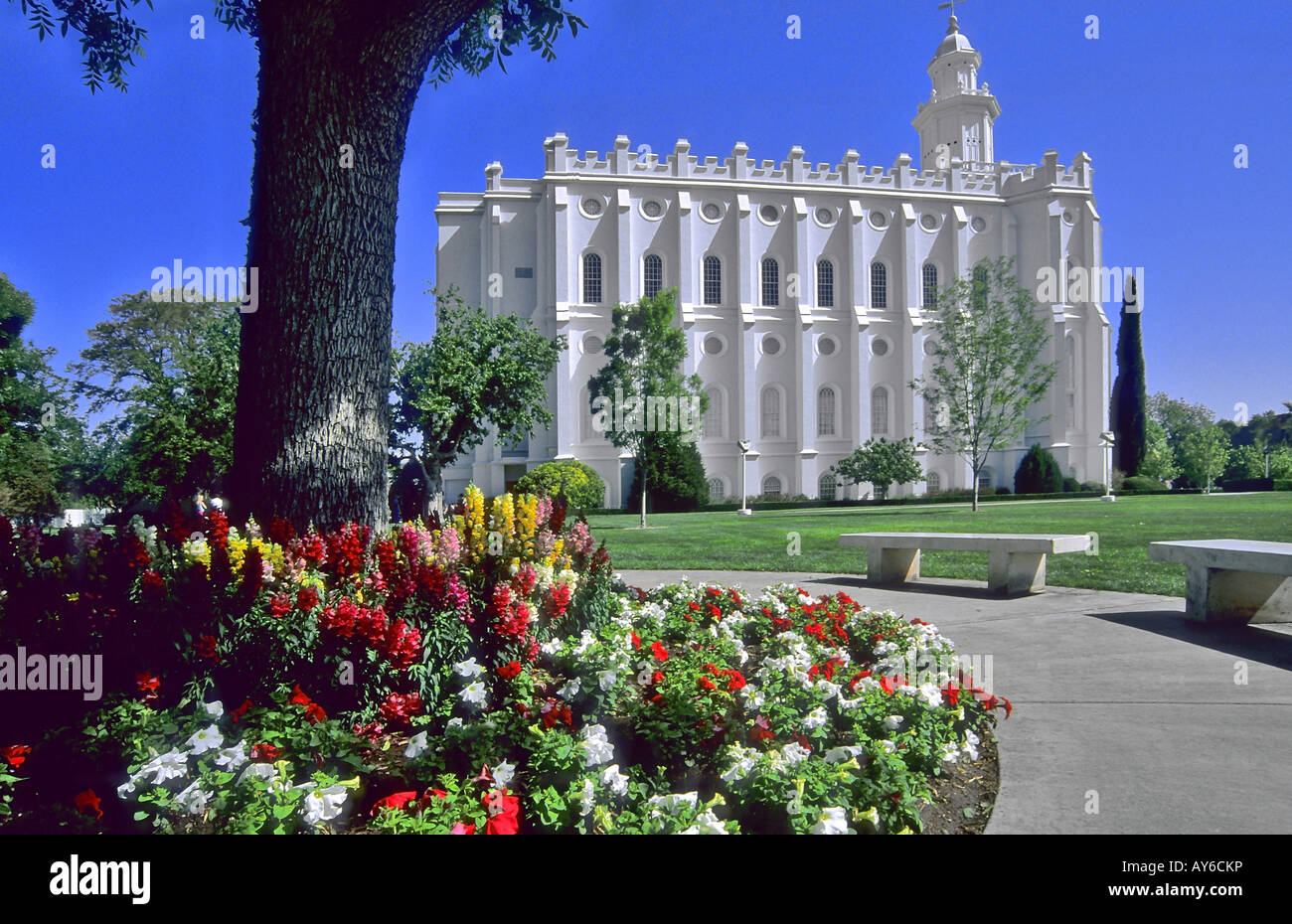 The Mormon Temple at St. George, Utah State, USA Stock Photo - Alamy