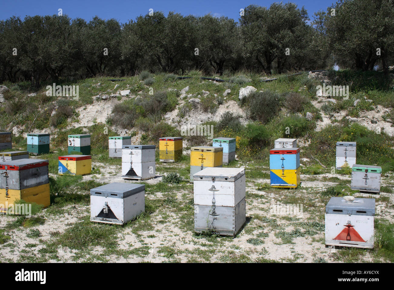 wooden Bee Hives, Crete, Greece, Europe. Photo by Willy Matheisl Stock ...