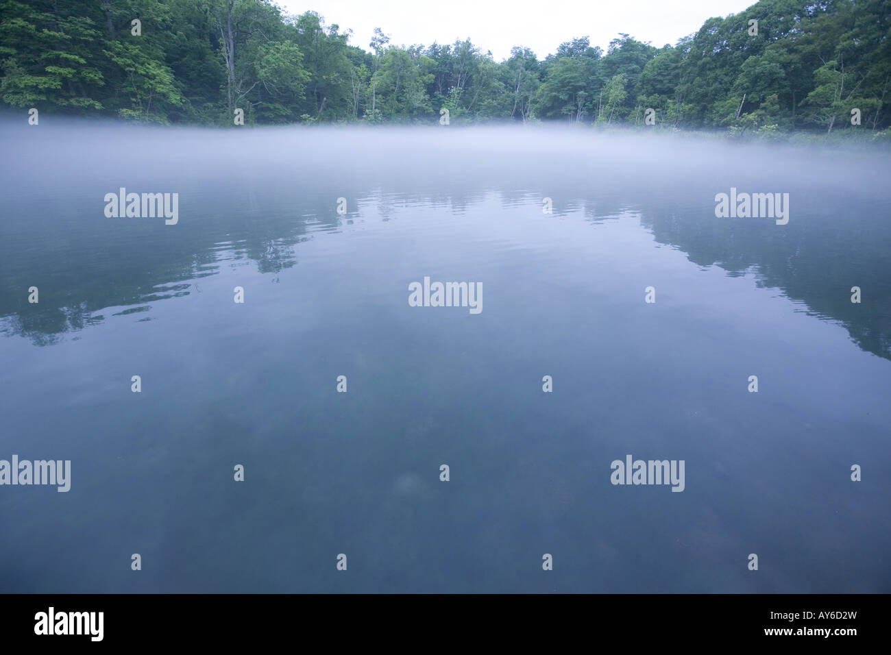 Moning hi-res stock photography and images - Alamy