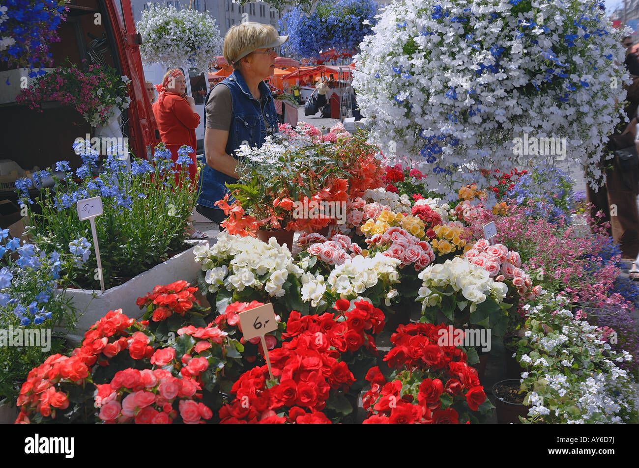 Flower stall in Market Square in Helsinki, Finland Stock Photo - Alamy