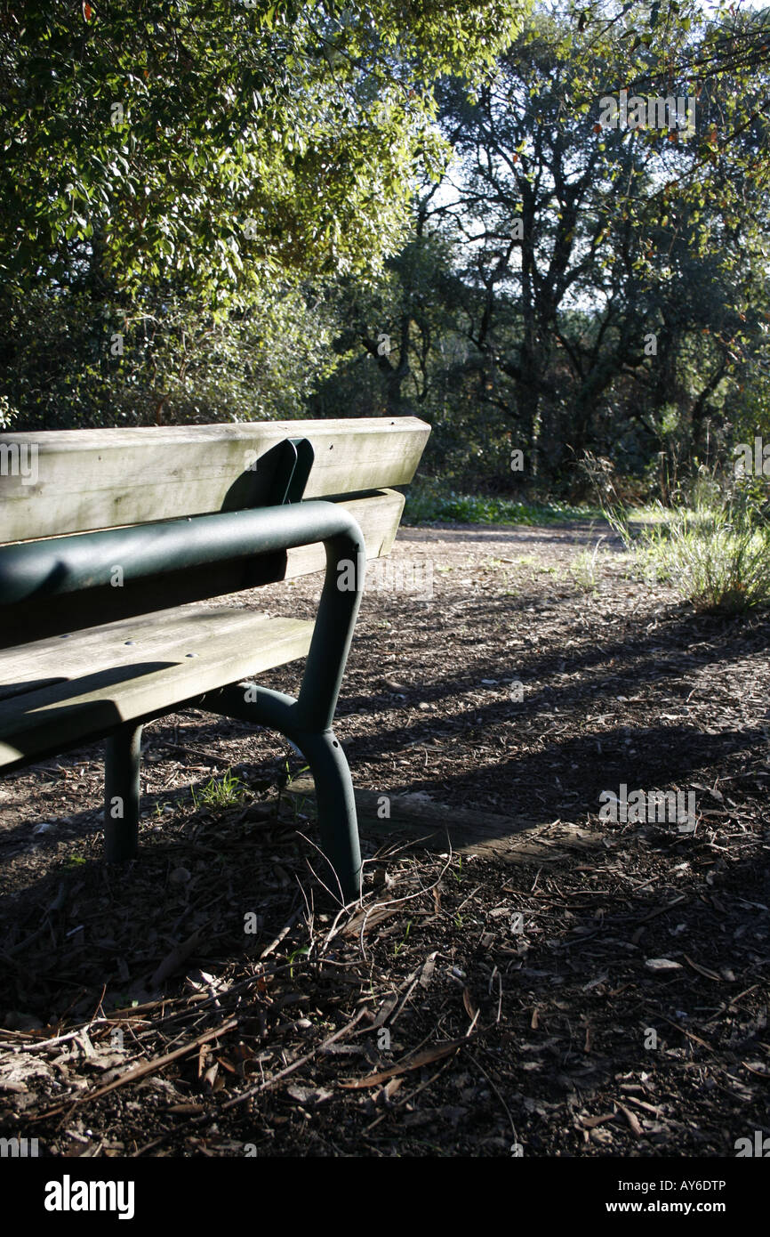 one bench in park Stock Photo - Alamy