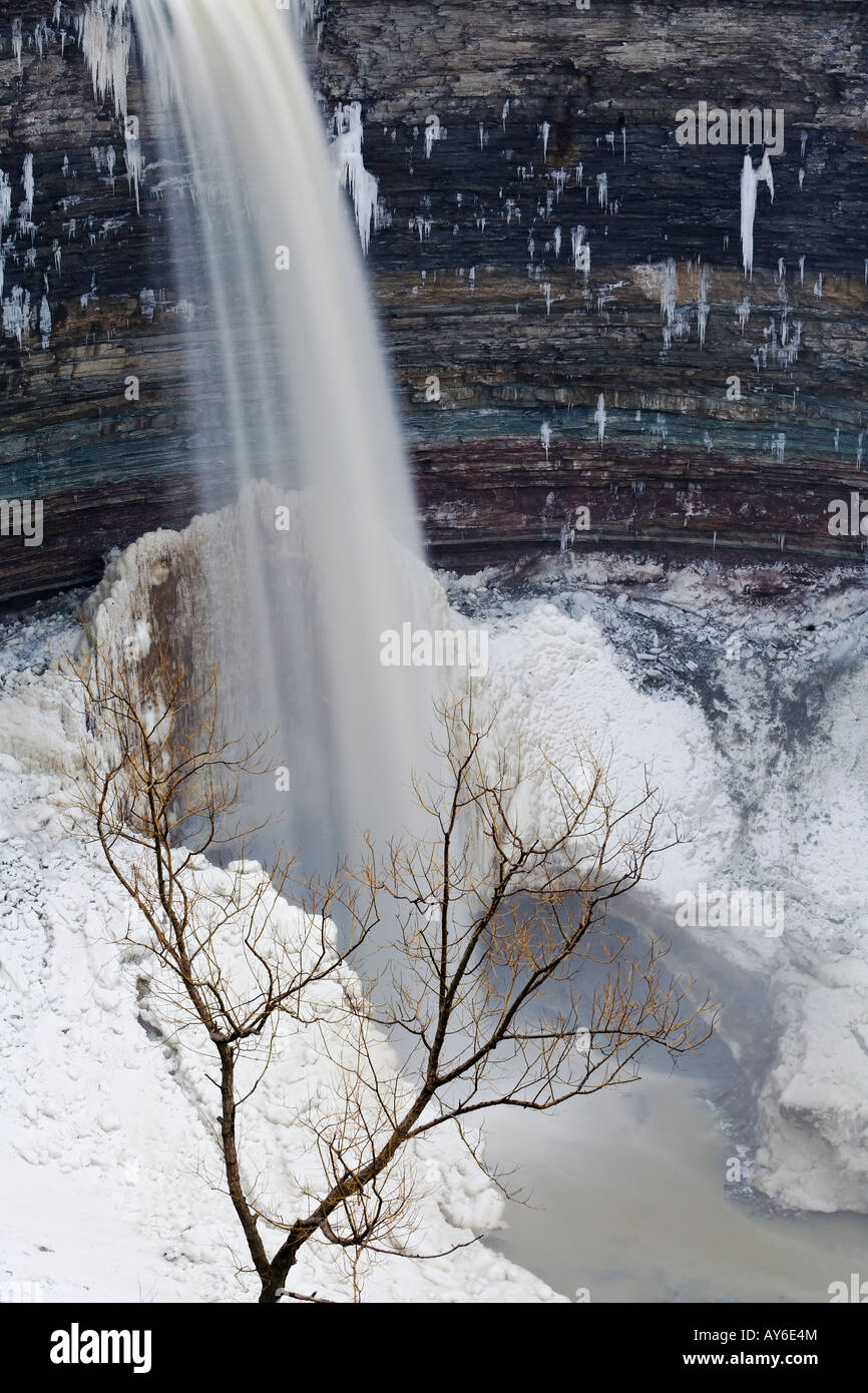 Waterfall and tree at Devil's Punchbowl, Hamilton Ontario, Canada Stock ...