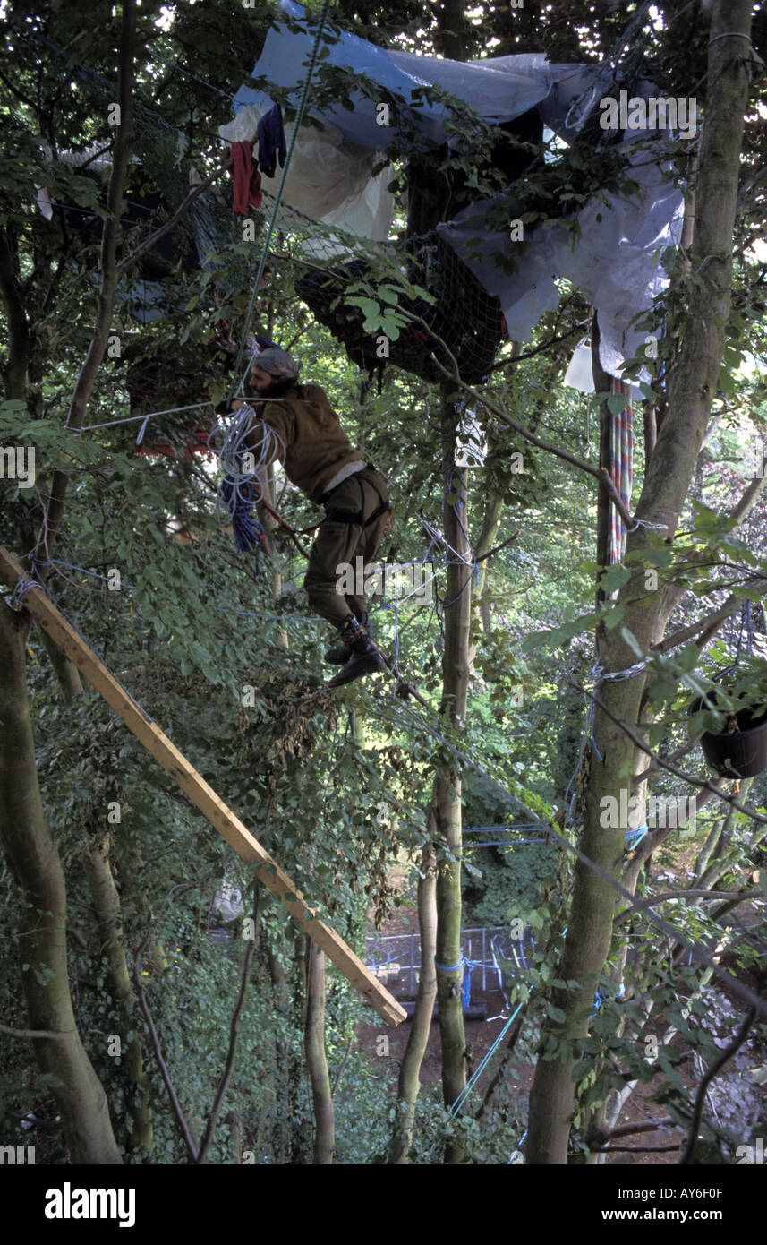 Environmental protesters take to the trees on the route of the planned ...