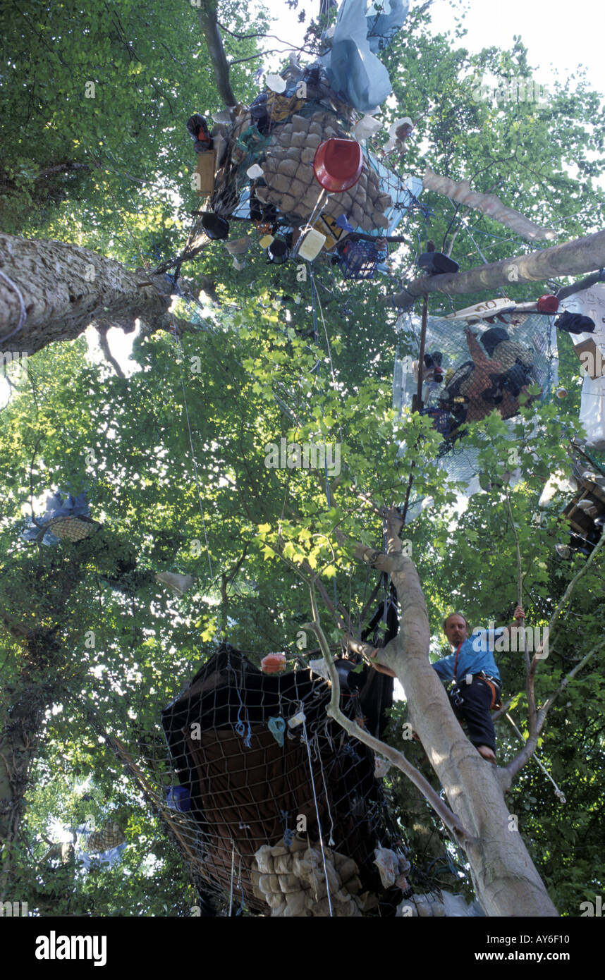Environmental protesters take to the trees on the route of the planned ...