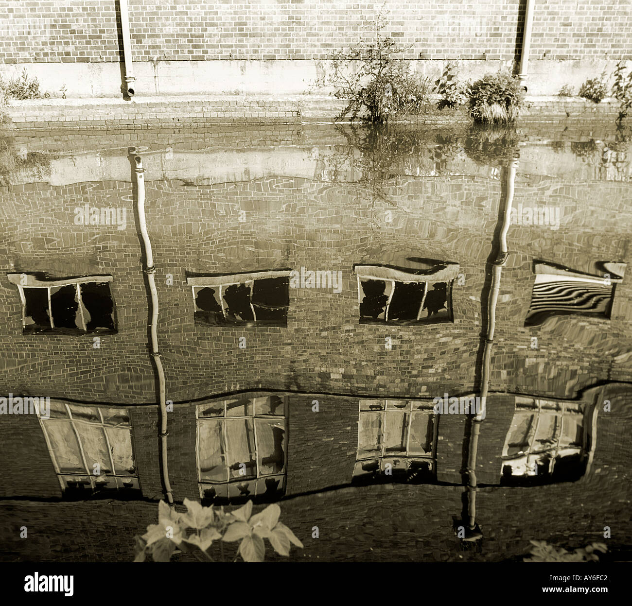 The decay and deterioration of an industrial building contrasts with ...