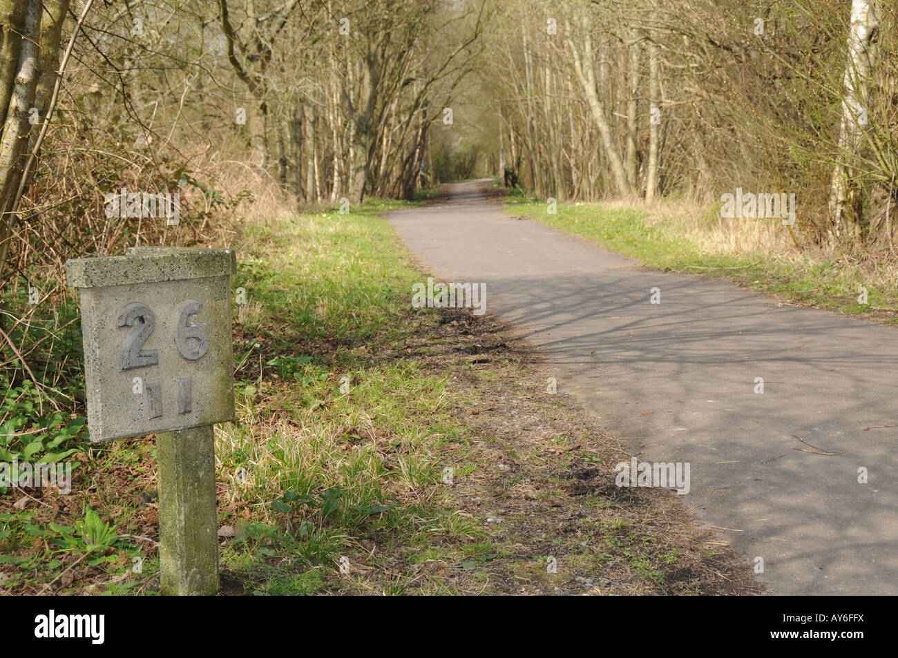 The Cuckoo Trail, near Horam, East Sussex UK with some of the remaining ...
