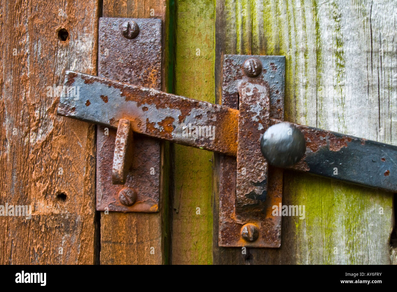 Rust and algae hi-res stock photography and images - Alamy
