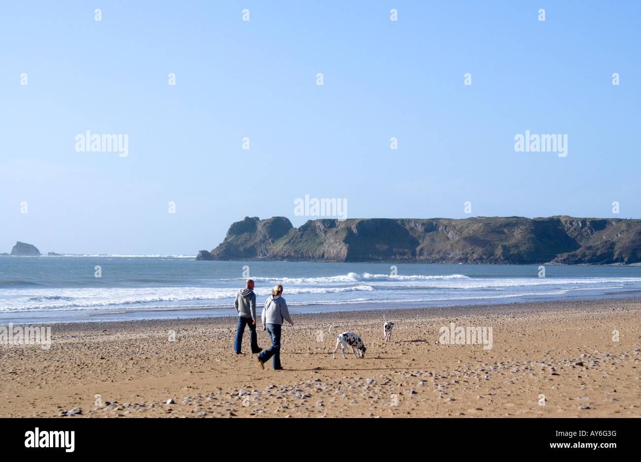 couple walking dogs on south beach tenby pembrokeshire west wales Stock ...