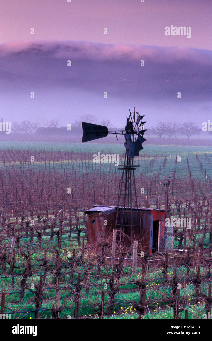 Radiation fog valley hi-res stock photography and images - Alamy