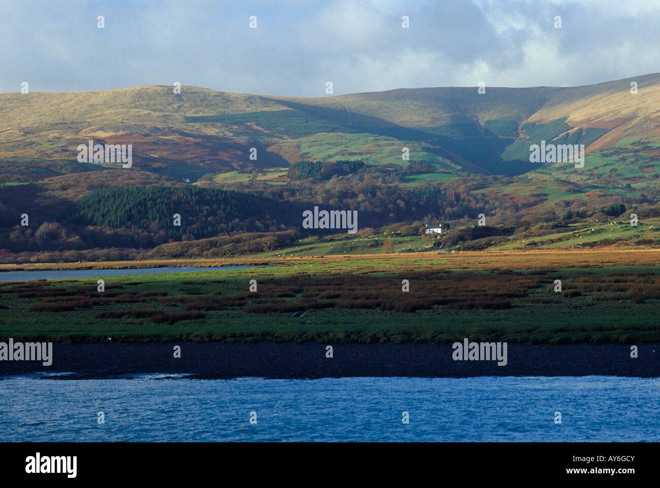 View across the River Dovey (Dyfi) near Machynlleth, Wales Stock Photo ...