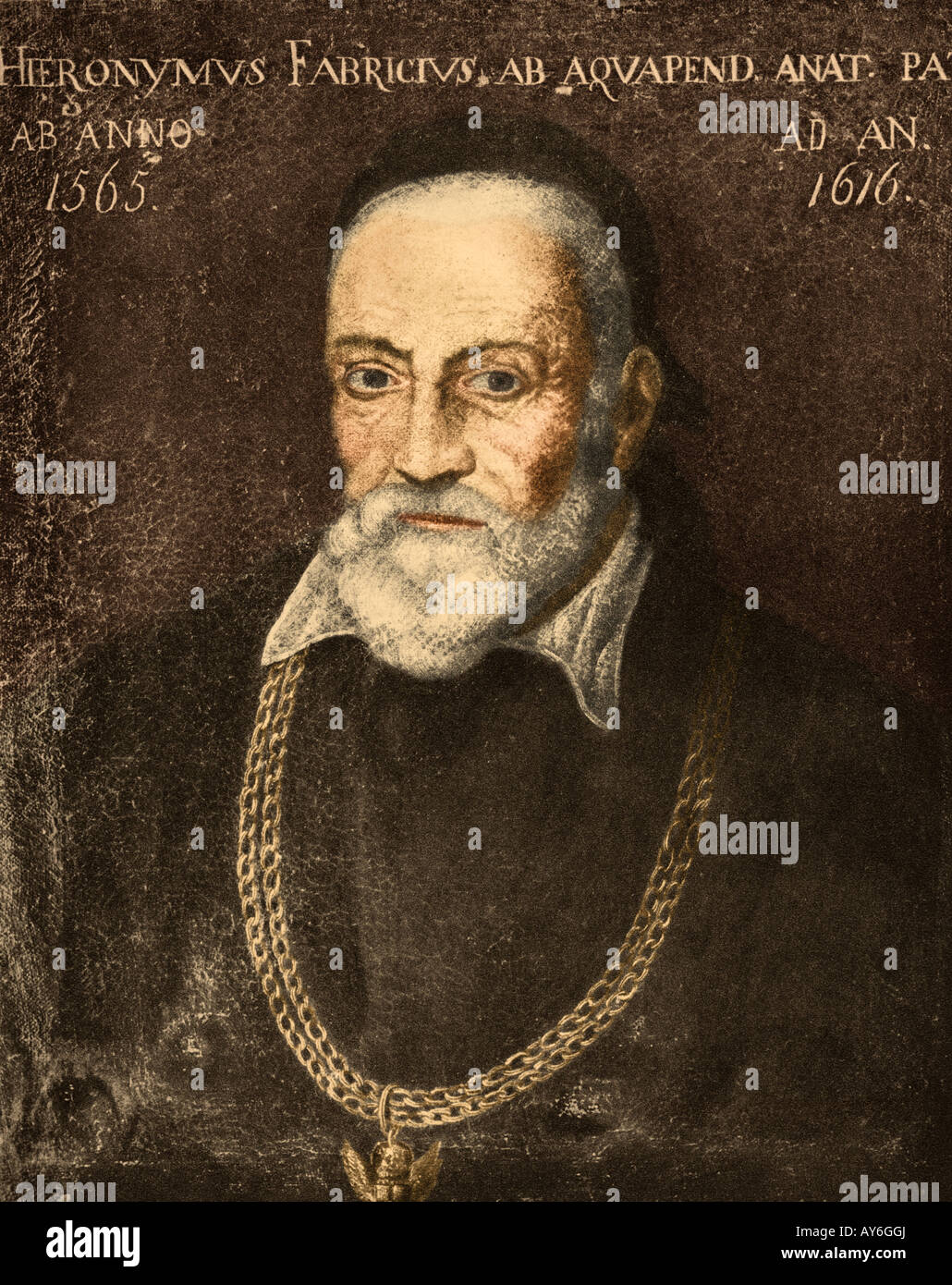 Hieronymus High Resolution Stock Photography and Images - Alamy