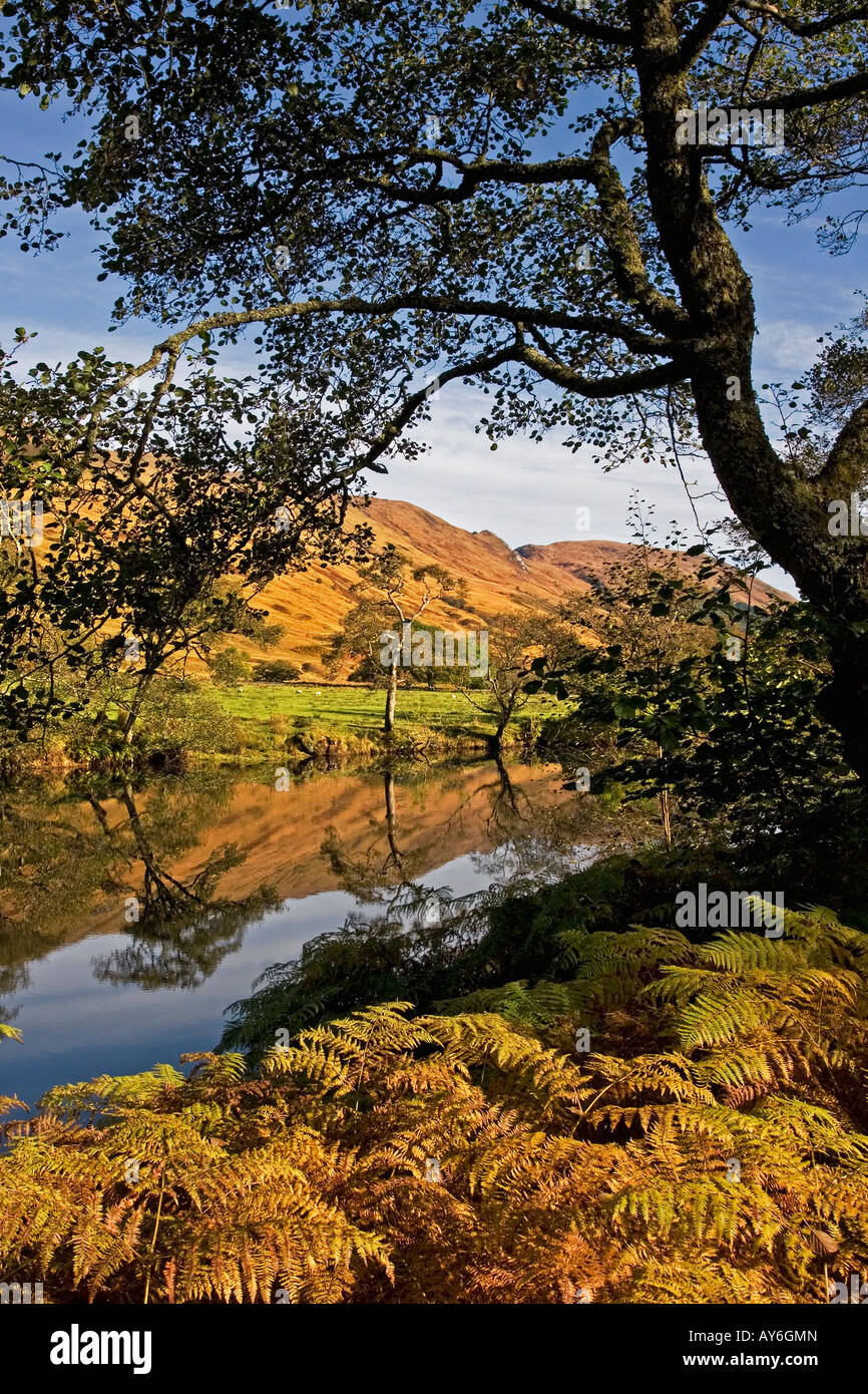 Early Autumn colours on banks of river Orchy, Glen Orchy, Argyll and ...