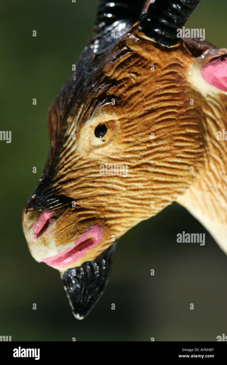 Close up of the head of a plastic goat toy Stock Photo - Alamy