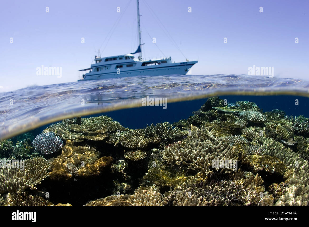 THE LIVEABOARD DIVE VESSEL N AIA AT ANCHOR OVER A PRISTINE CORAL REEF ...