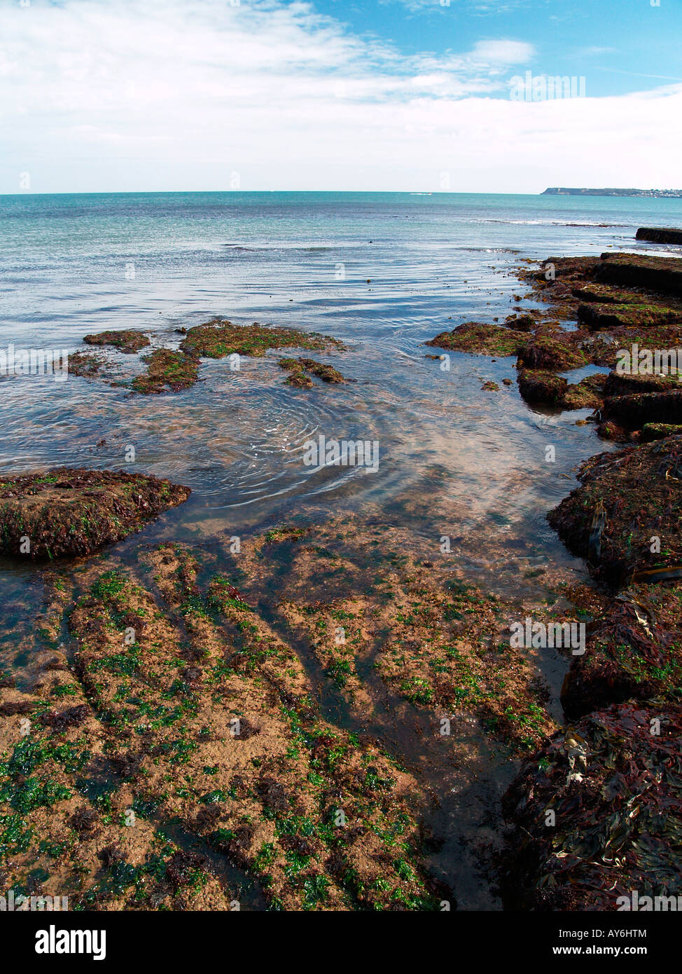 Seaside seashore seaweed rockpool hi-res stock photography and images ...