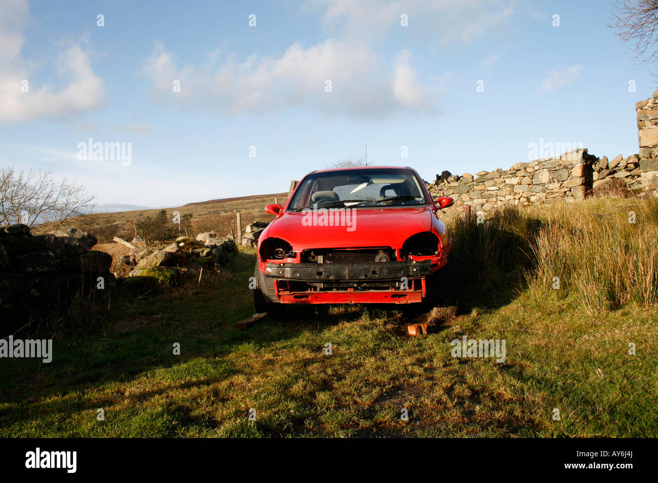 red car in field Stock Photo - Alamy