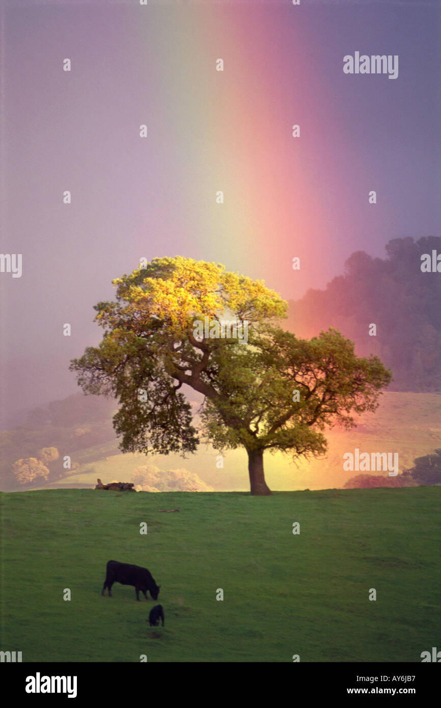 End of the rainbow Stock Photo - Alamy