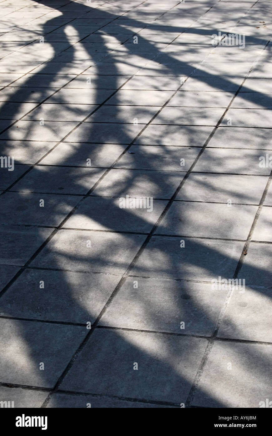A tree shadow during Winter Stock Photo - Alamy