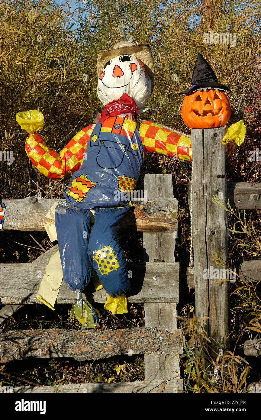 Stuffed strawman hi-res stock photography and images - Alamy