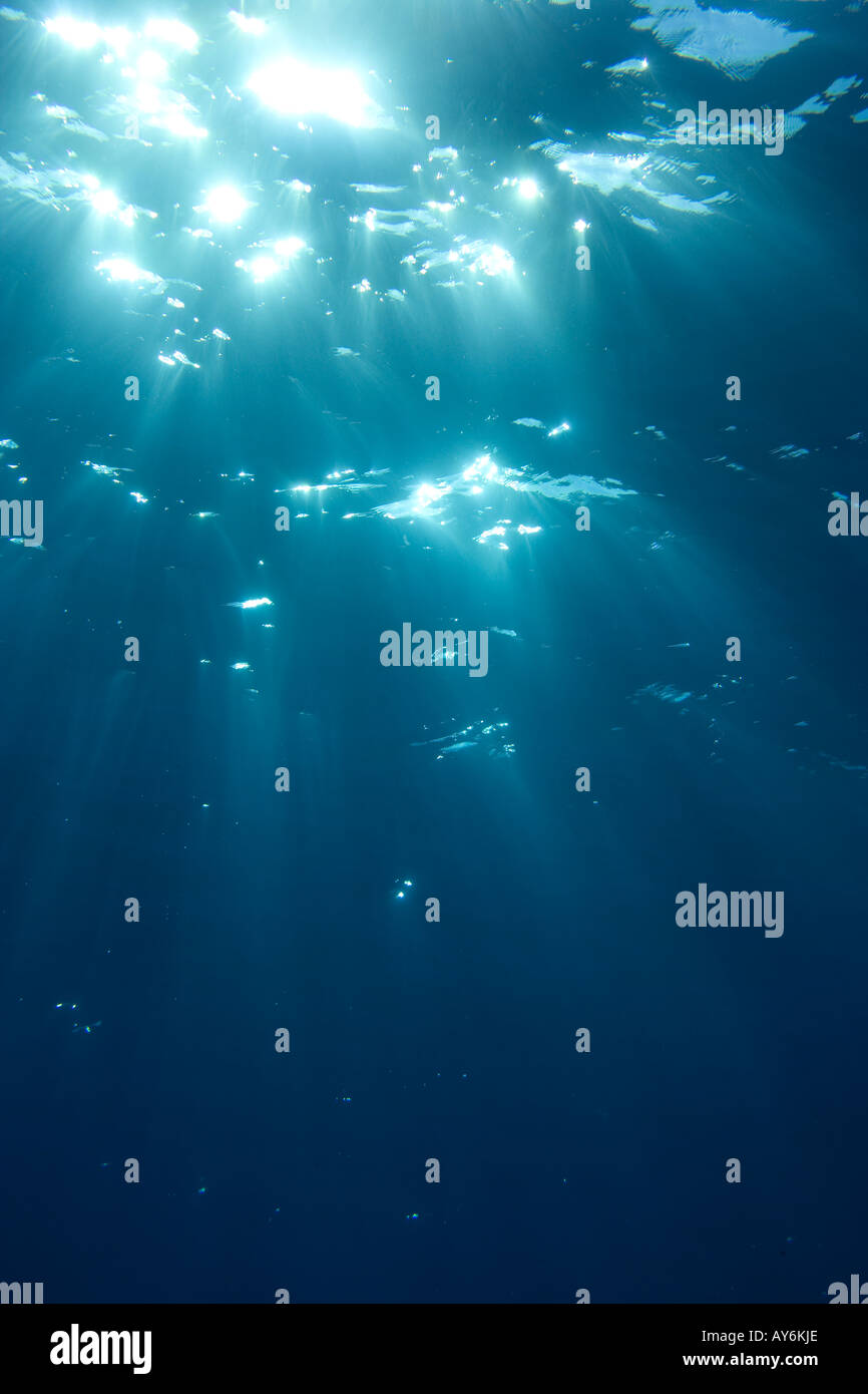 BEAMS OF SUNLIGHT SHINING DOWN THROUGH WATER S SURFACE AUSTRALIA Stock ...