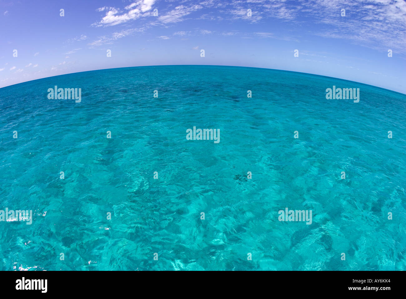 THE PERSPECTIVE DISTORTION OF AN EXTREMELY WIDE ANGLE LENS IS EVIDENT ...