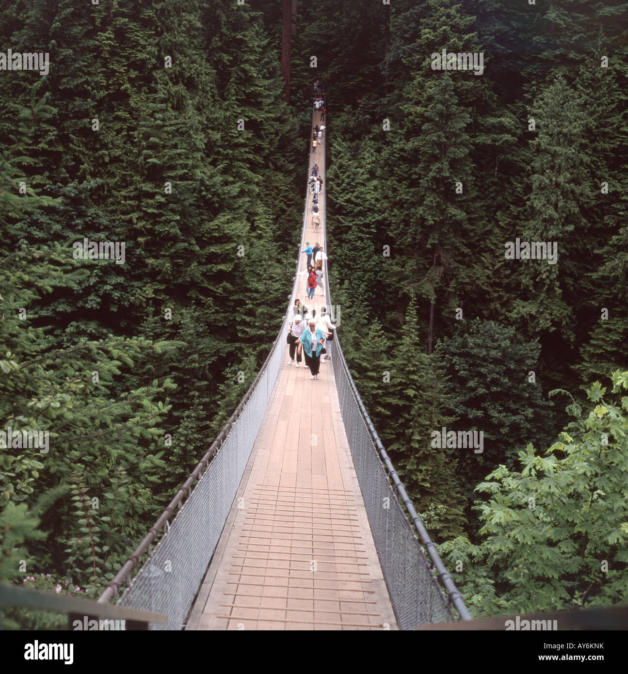 Capilano Suspension Bridge, Vancouver, British Columbia, Canada Stock ...