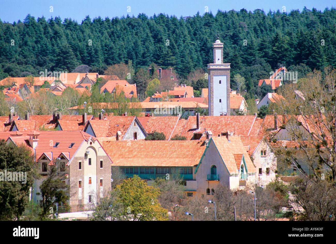 Morocco Le Moyen Atlas Ifrane Stock Photo - Alamy