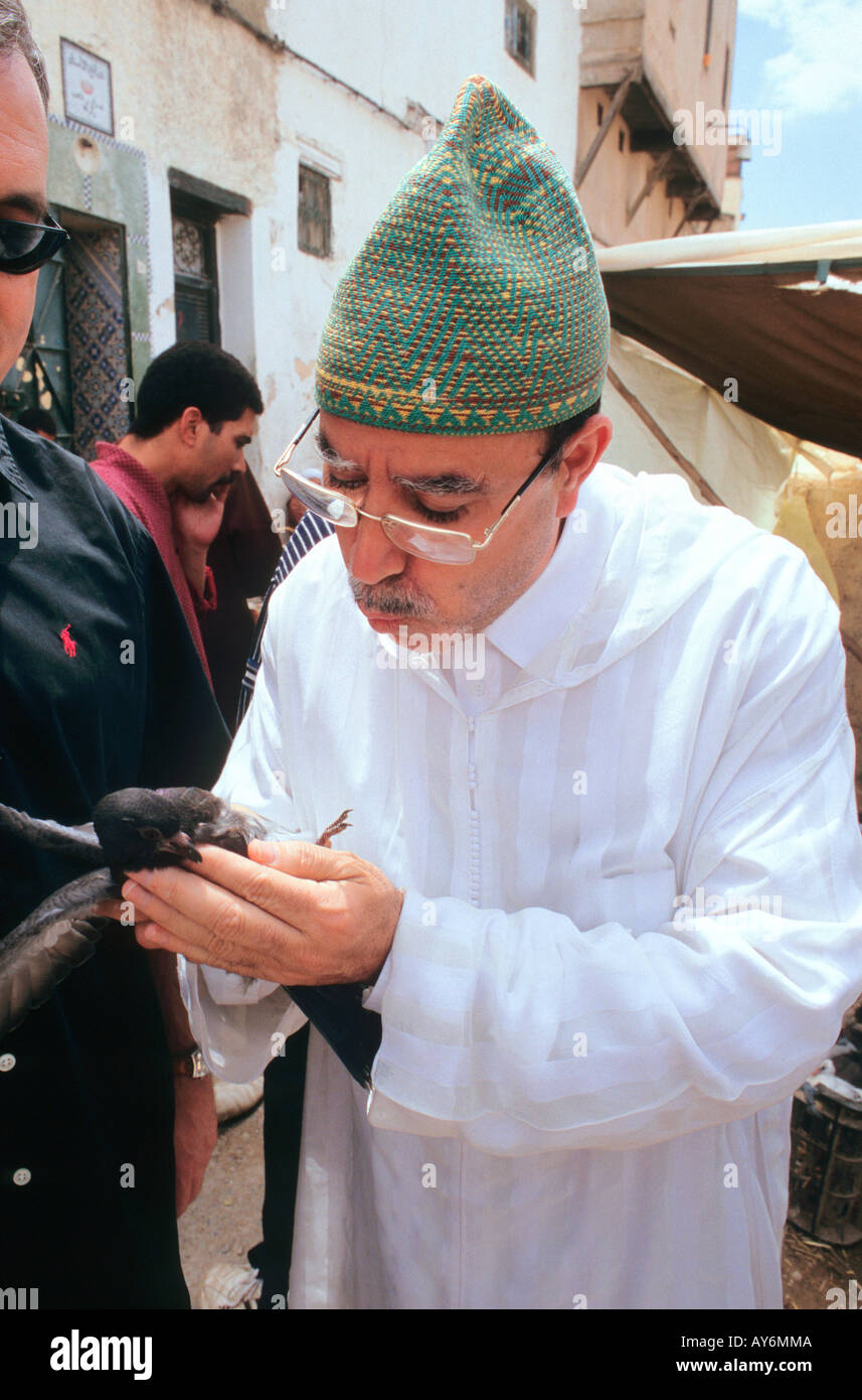 Morocco Le Moyen Atlas Fez El Bali Andalous Medina Chosing the pigeons ...