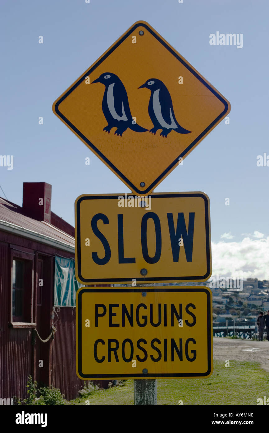 Penguin crossing sign in south island, New Zealand Stock Photo - Alamy