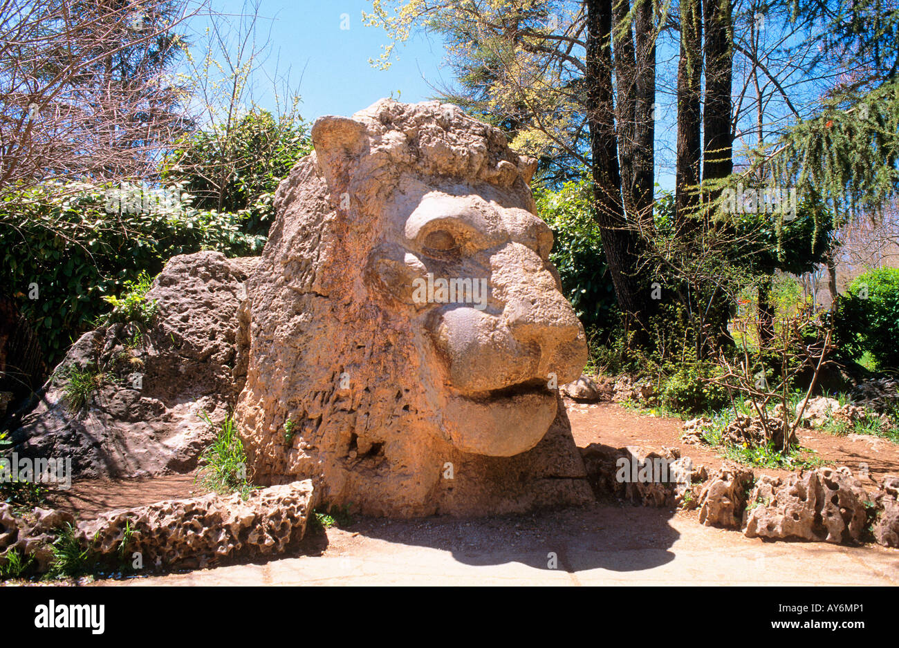 Morocco Le Moyen Atlas Ifrane The Lion of Atlas Stock Photo - Alamy