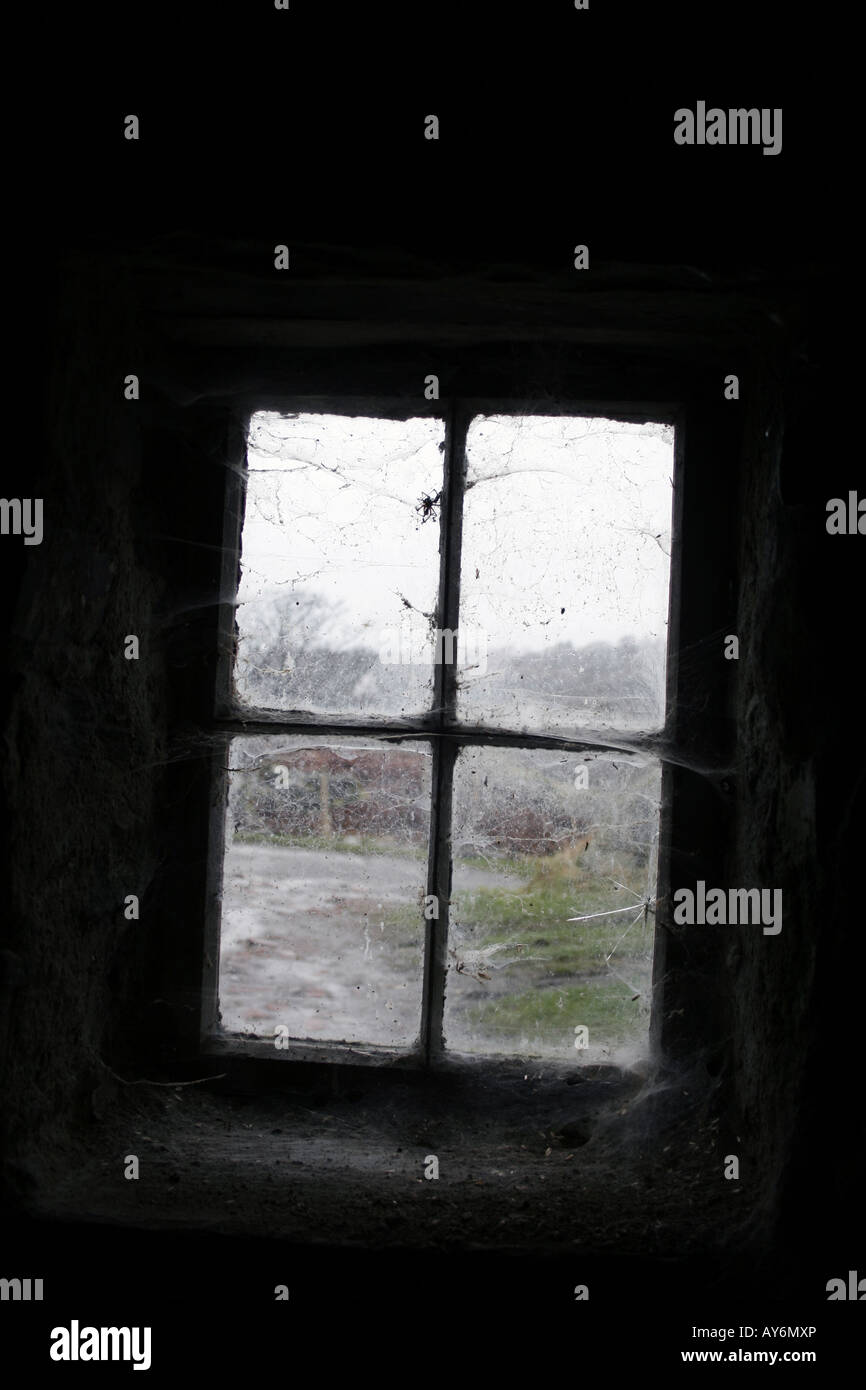 window covered with cobwebs Stock Photo - Alamy