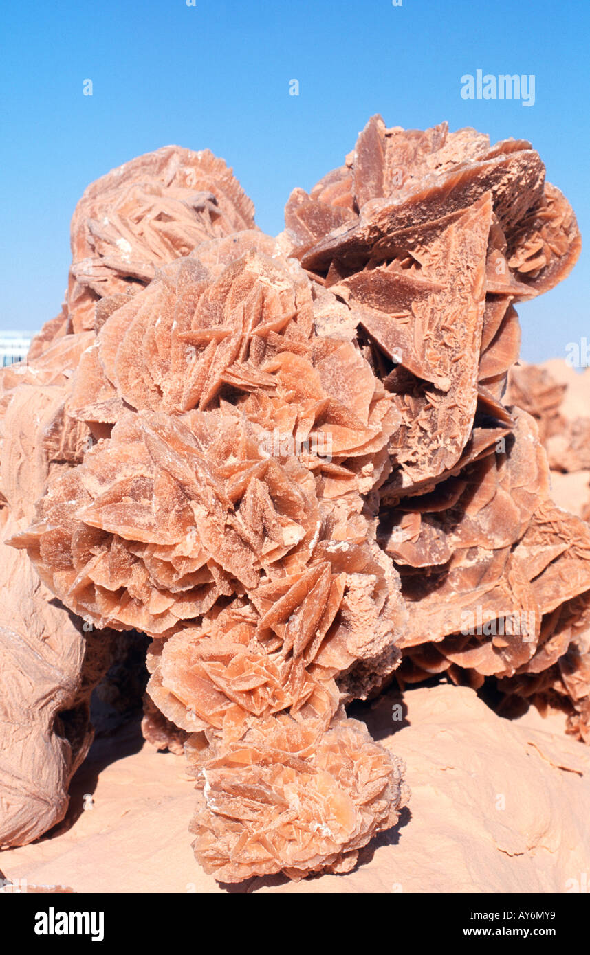 Sahara roses hi-res stock photography and images - Alamy