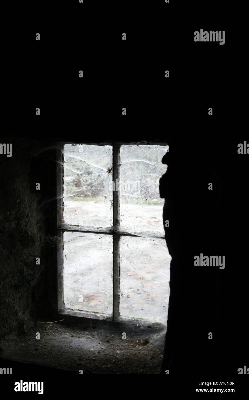 window covered with cobwebs Stock Photo - Alamy