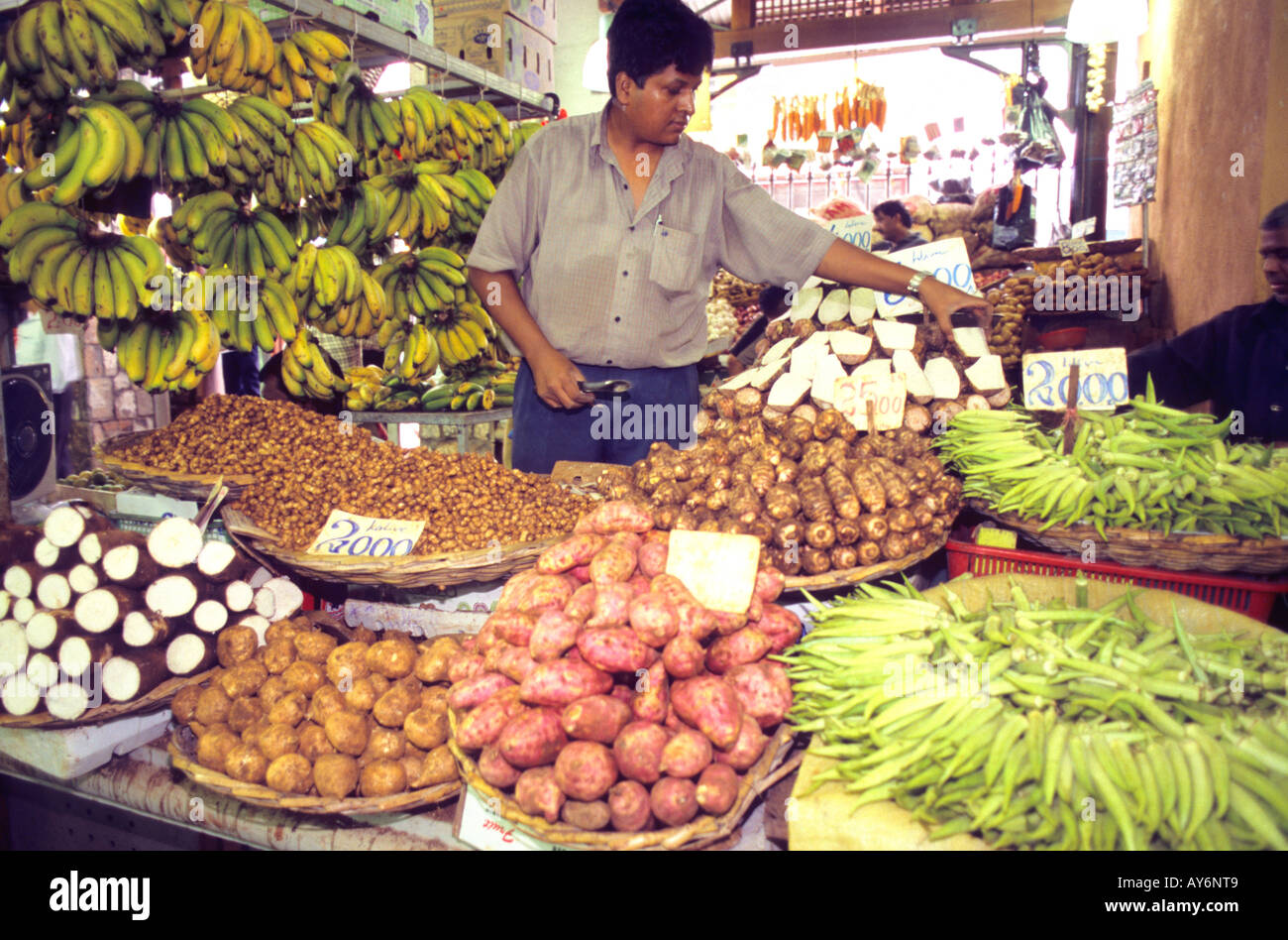 Tea route mauritius hi-res stock photography and images - Alamy