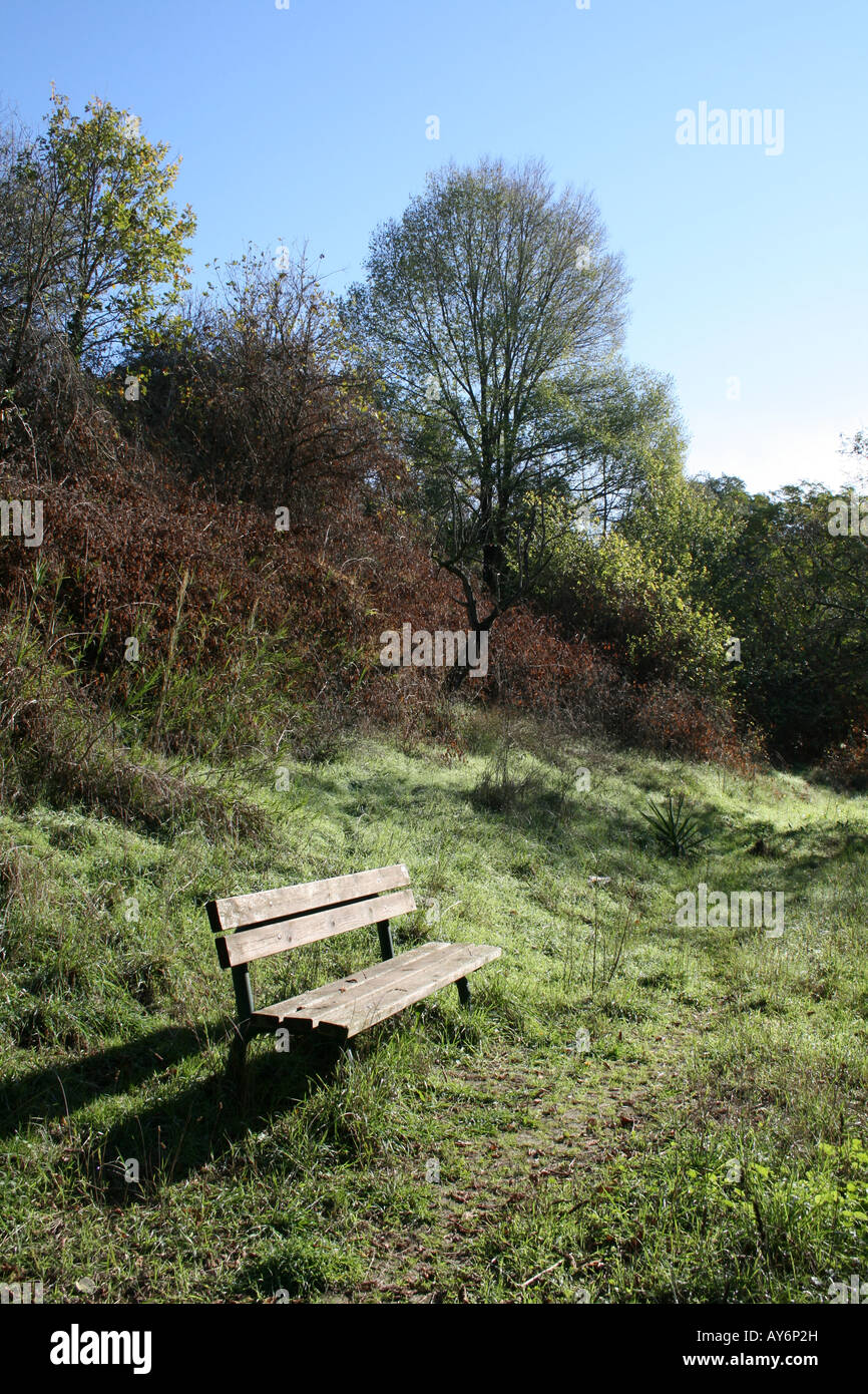 one bench in countryside Stock Photo - Alamy