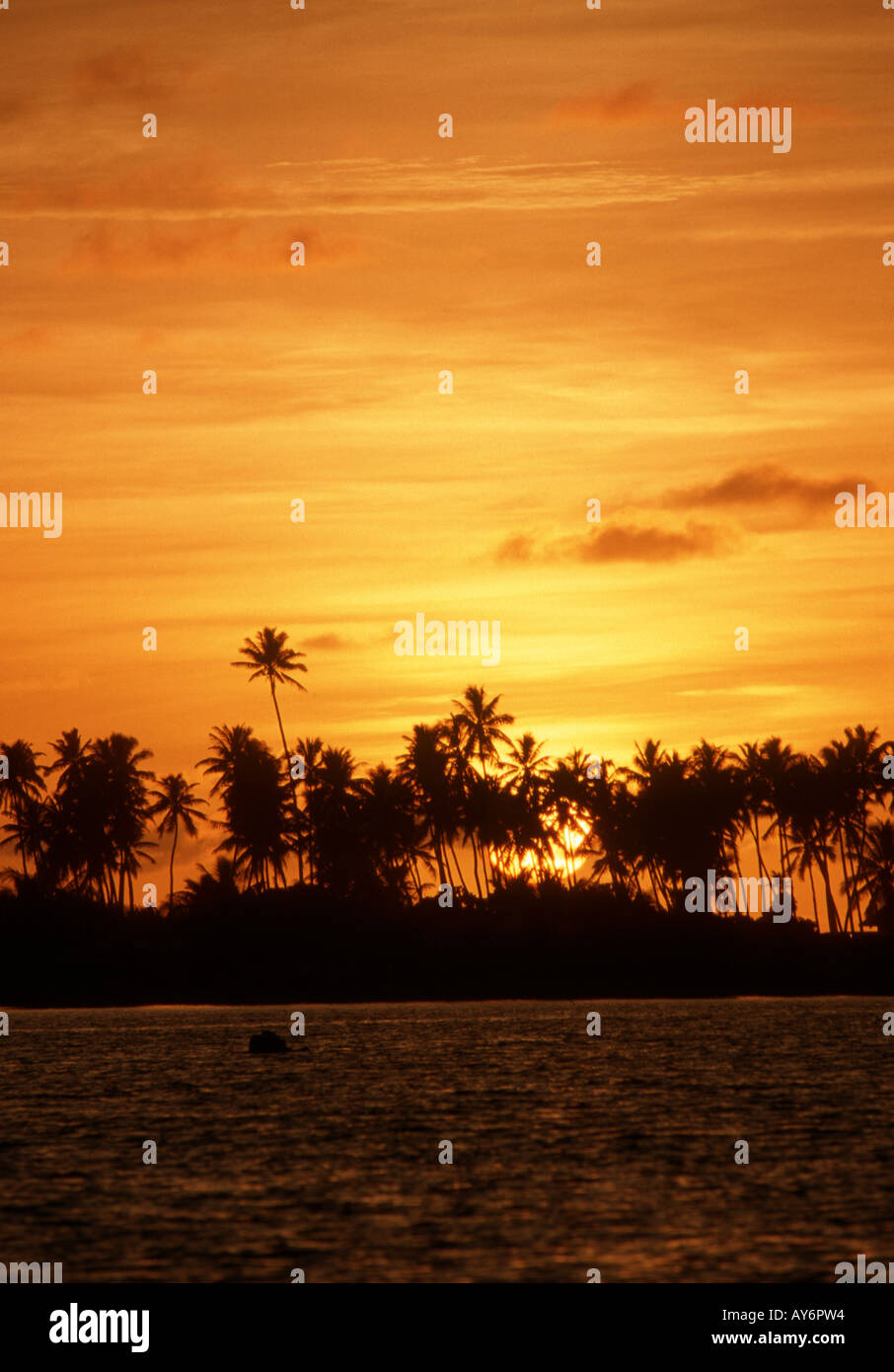 French Polynesia Robert Wan Stock Photo - Alamy