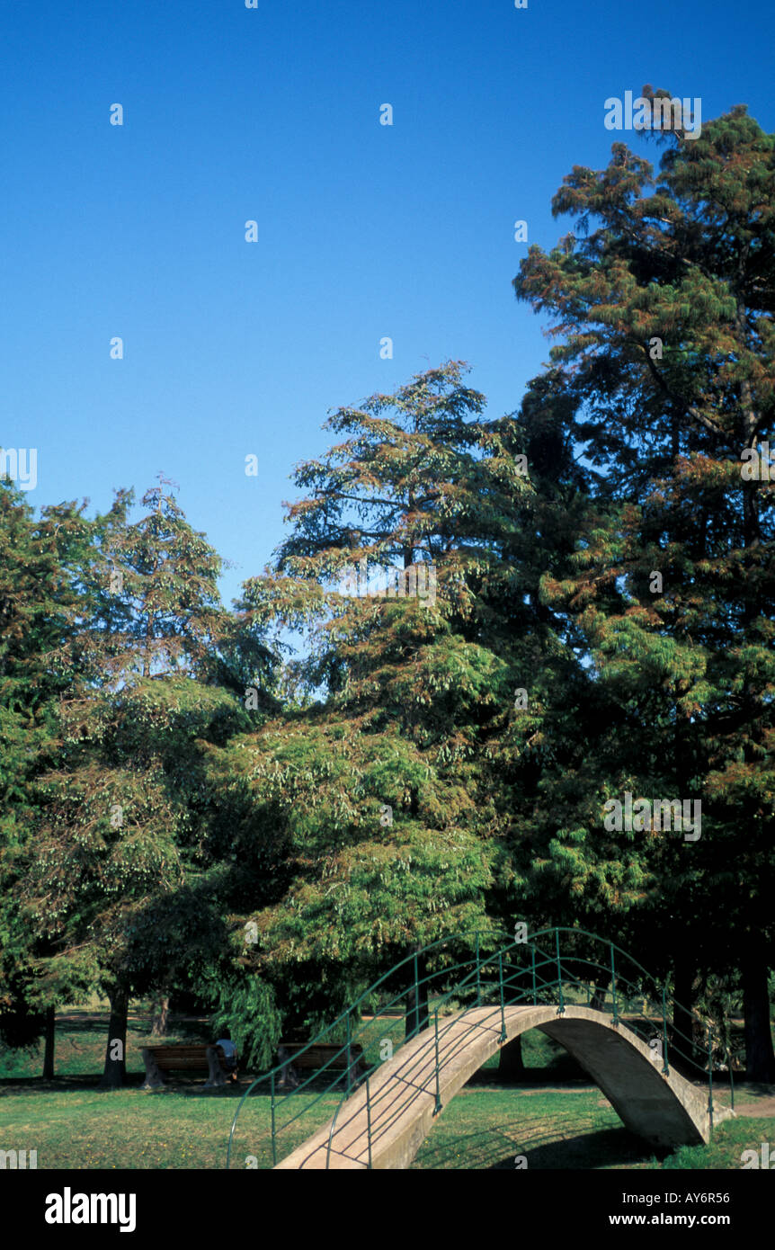 El prado montevideo uruguay hi-res stock photography and images - Alamy