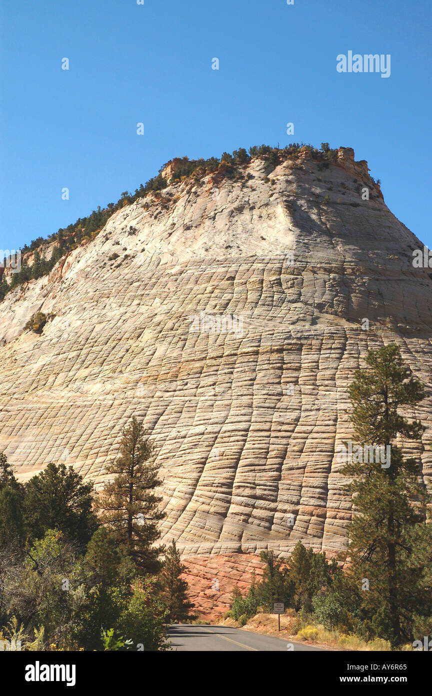 Utah Zion National Park checkerboard canyon Stock Photo - Alamy