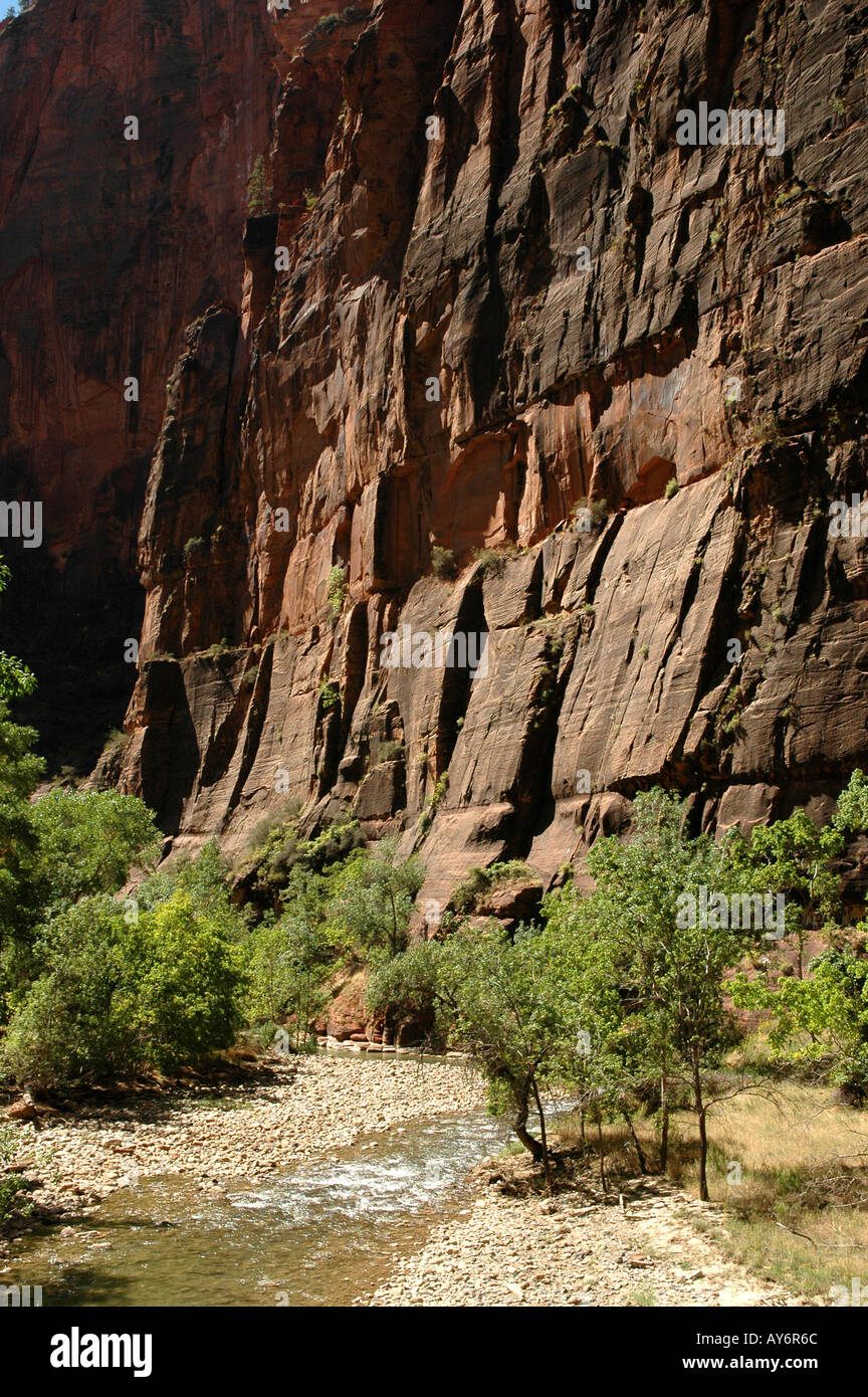 Utah Zion National Park Temple of Sinawava Riverside Walk Virgin River ...